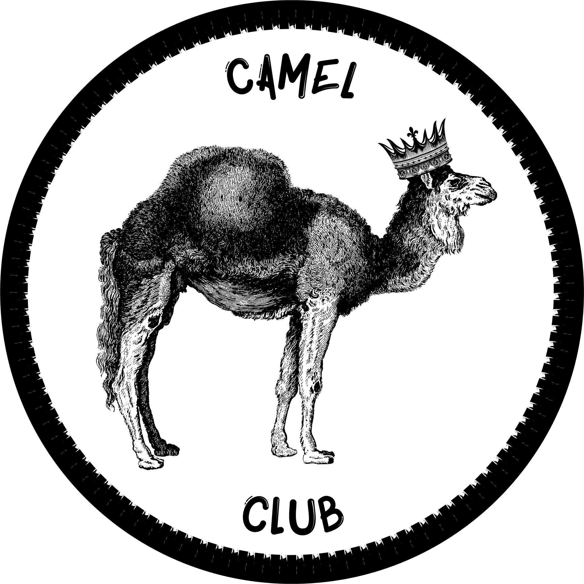 Camel Club | Just another WordPress site